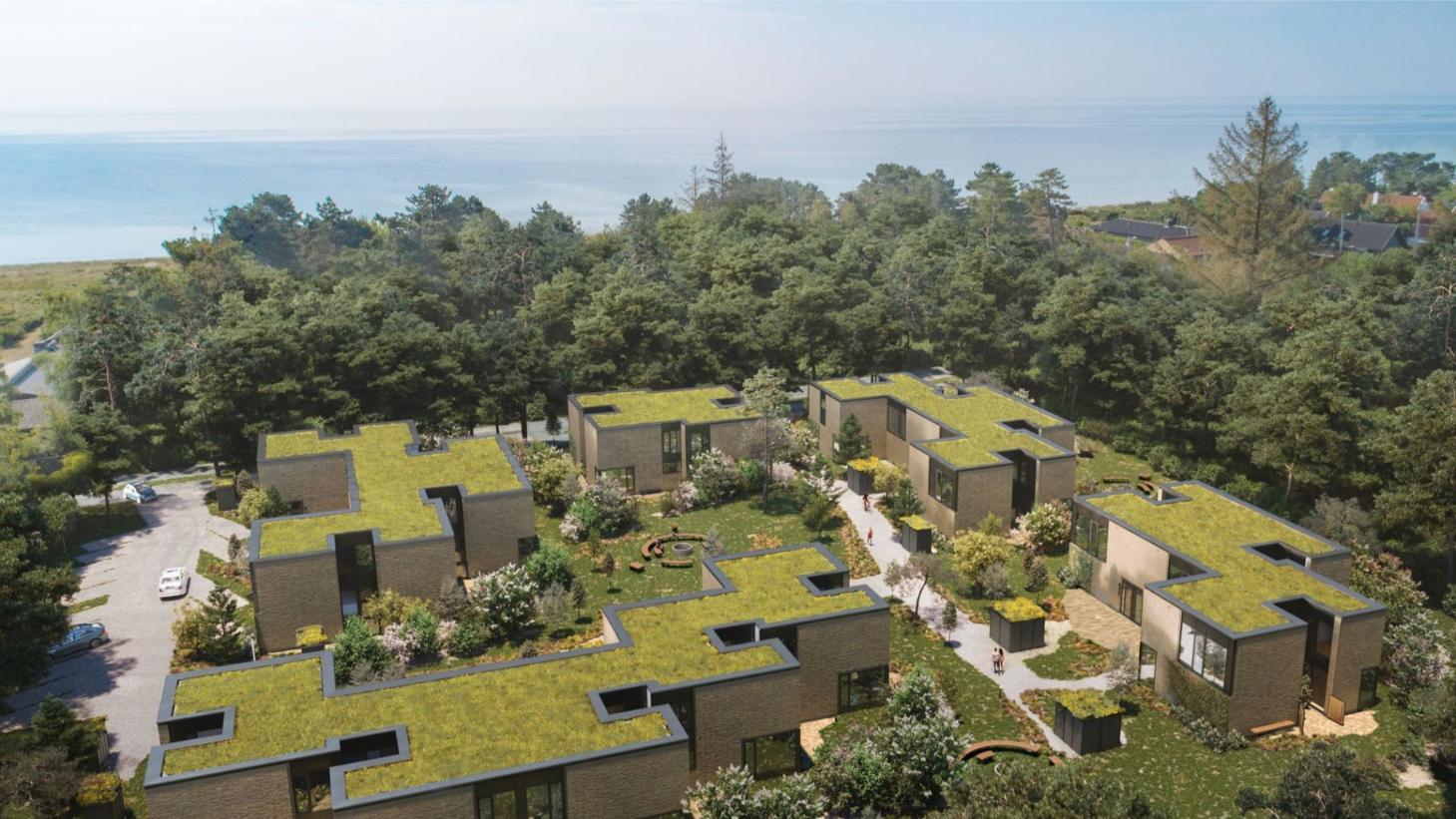 Greve Strandvej - Klaus Nielsen